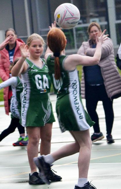 Membership - Junior Netball Application - Rokewood Football & Netball Club